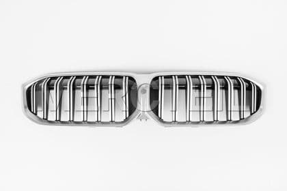 Buy the spare part BMW 51115A1BFA6 ziergitter front