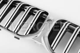 Buy the spare part BMW 51115A1BFA6 ziergitter front