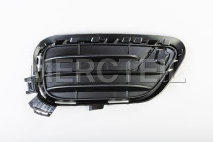 Buy the spare part BMW 51117347946 grid lateral