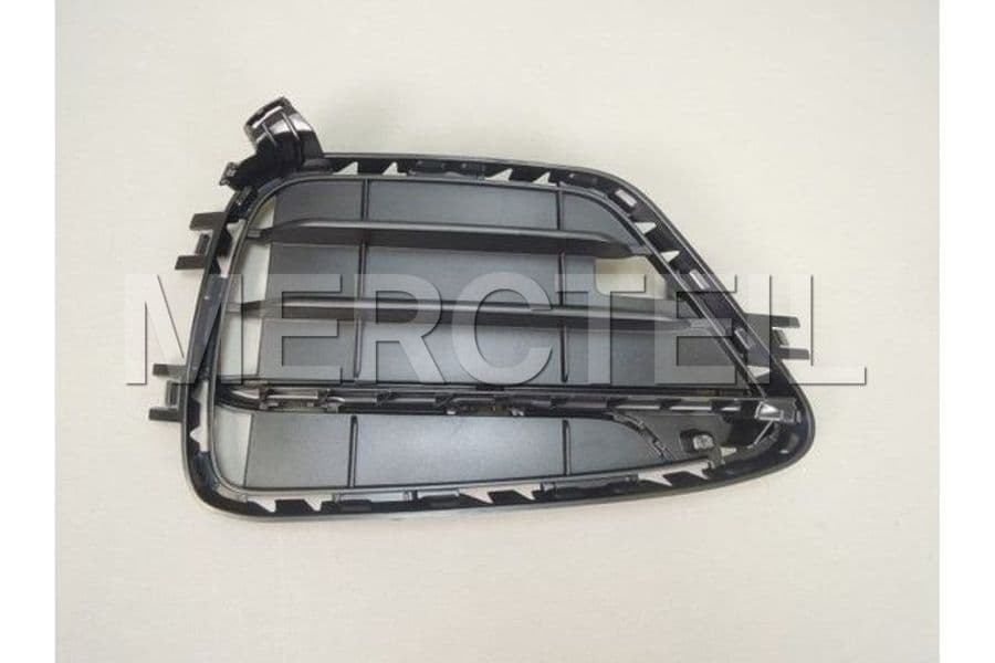 Buy the spare part BMW 51117348109 grid lateral