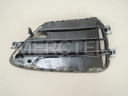Buy the spare part BMW 51117348109 grid lateral