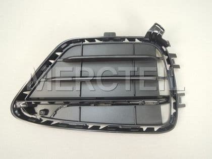 Buy the spare part BMW 51117348110 grid lateral
