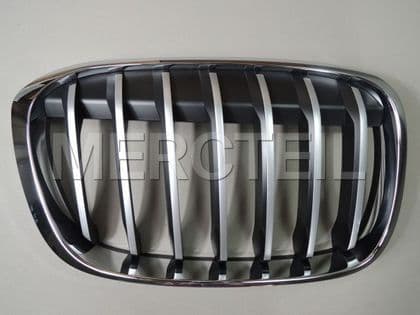 Buy the spare part BMW 51117383366 grille fron