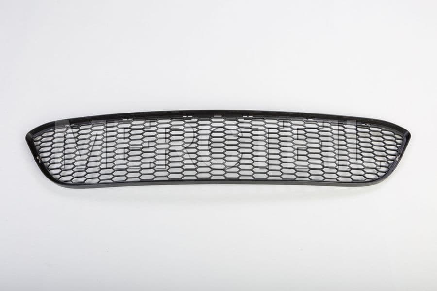 Buy the spare part BMW 51118041179 grid center