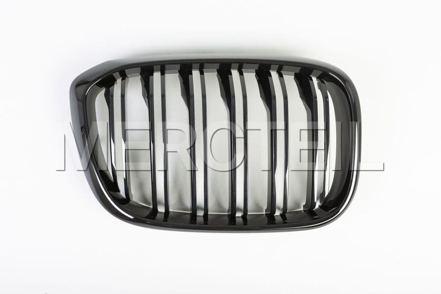 Buy the spare part BMW 51118098088 grille fron