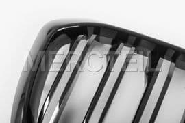 Buy the spare part BMW 51118098088 grille fron