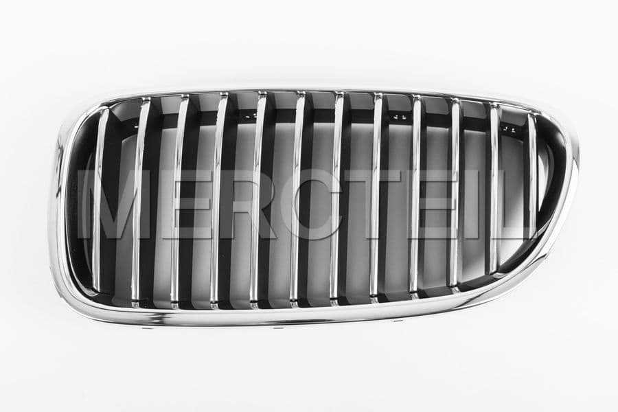 Buy the spare part BMW 51137203649 grille fron