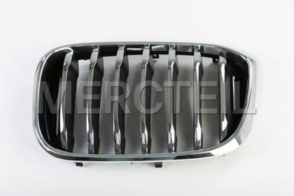 Buy the spare part BMW 51137464919 grille fron