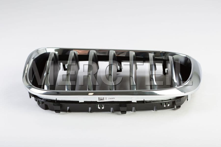 Buy the spare part BMW 51137464919 grille fron