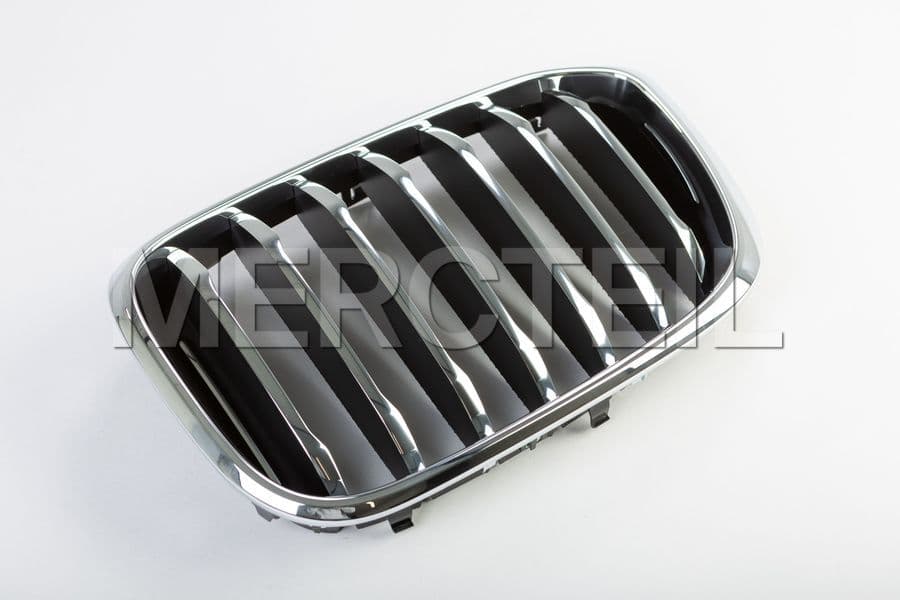 Buy the spare part BMW 51137464919 grille fron