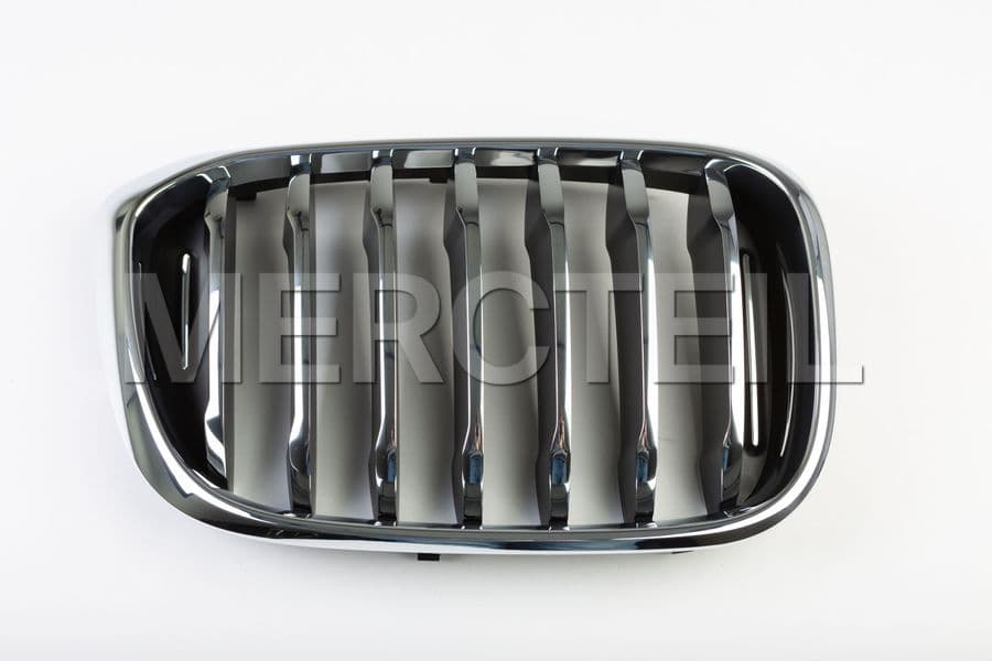 Buy the spare part BMW 51137464920 grille fron