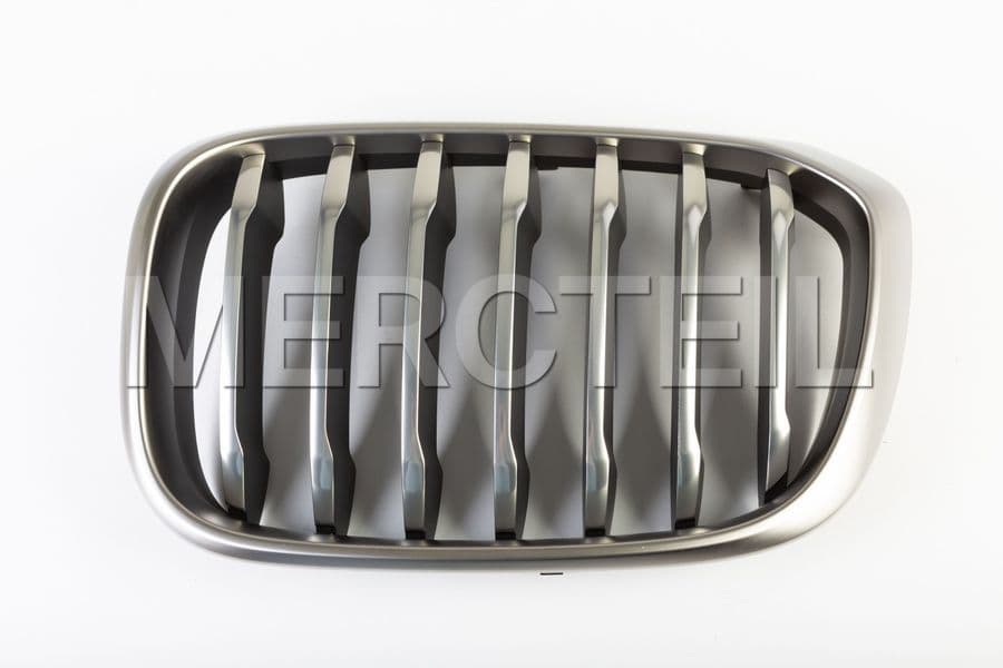 Buy the spare part BMW 51137464933 grille fron