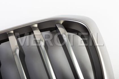 Buy the spare part BMW 51137464933 grille fron