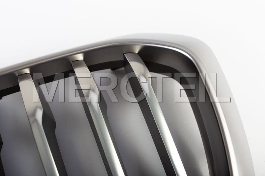 Buy the spare part BMW 51137464933 grille fron