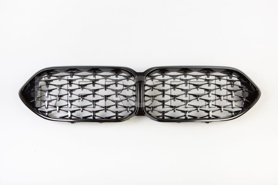 Buy the spare part BMW 51138080493 grill front