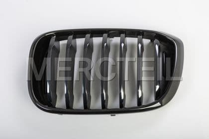 Buy the spare part BMW 51138469959 grille fron