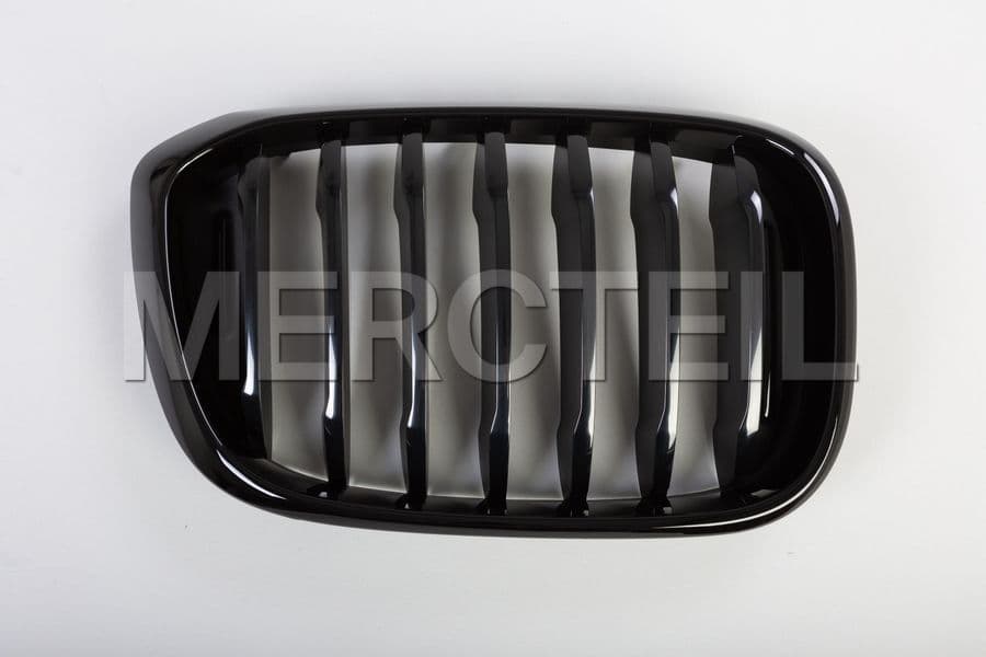 Buy the spare part BMW 51138469960 grille fron