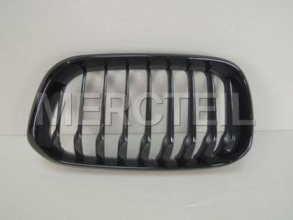 Buy the spare part BMW 51712357461 trim grill
