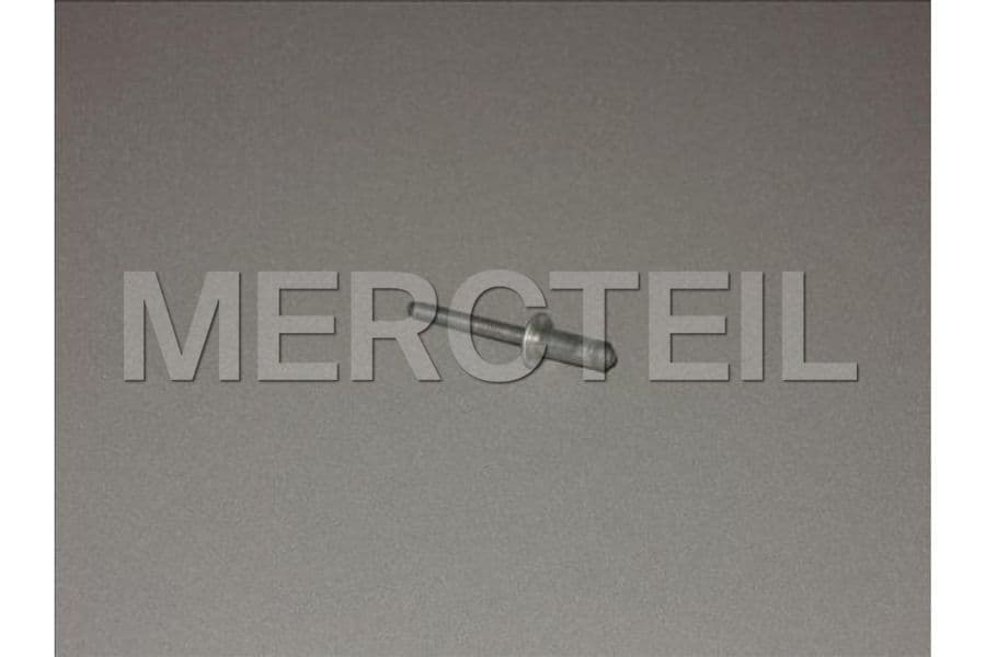 Buy the spare part Mercedes-Benz A0029902797 szegecs