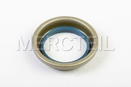Buy the spare part Mercedes-Benz A1079970245 seal ringvlrub