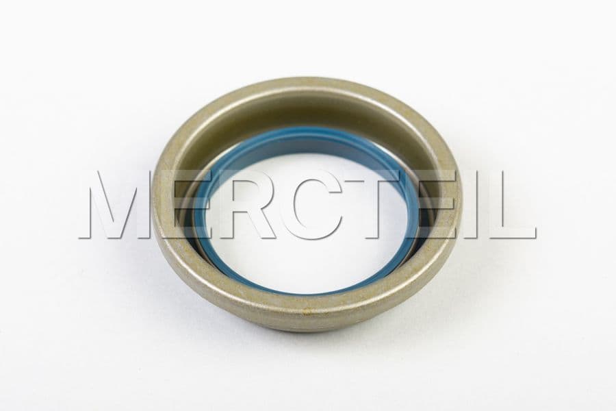 Buy the spare part Mercedes-Benz A1079970245 seal ringvlrub