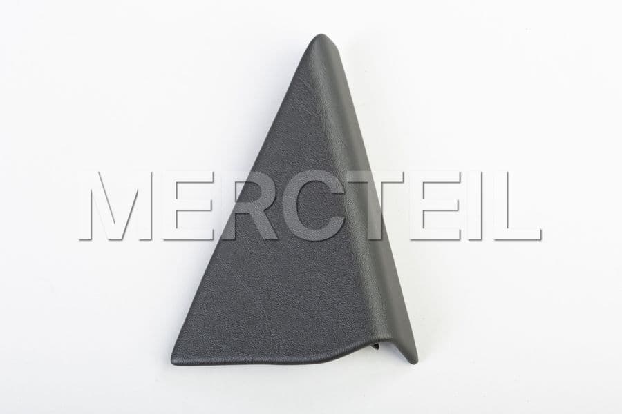 Buy the spare part Mercedes-Benz A14072002119045 plateint door mirror mnt