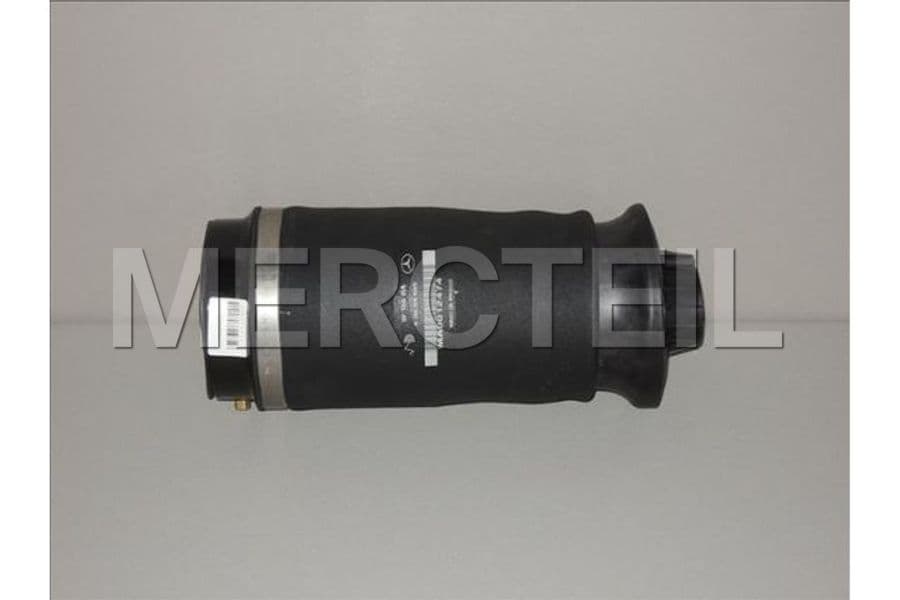 Buy the spare part Mercedes-Benz A1643201025 air spring