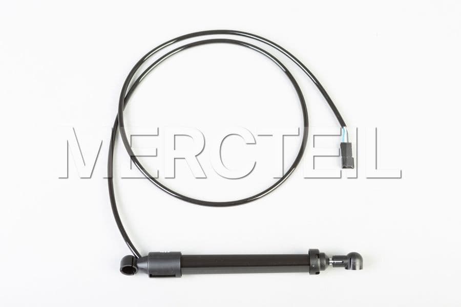 Buy the spare part Mercedes-Benz A1648201910 switch