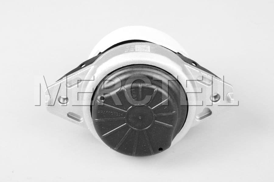 Buy the spare part Mercedes-Benz A1662406117 engine support