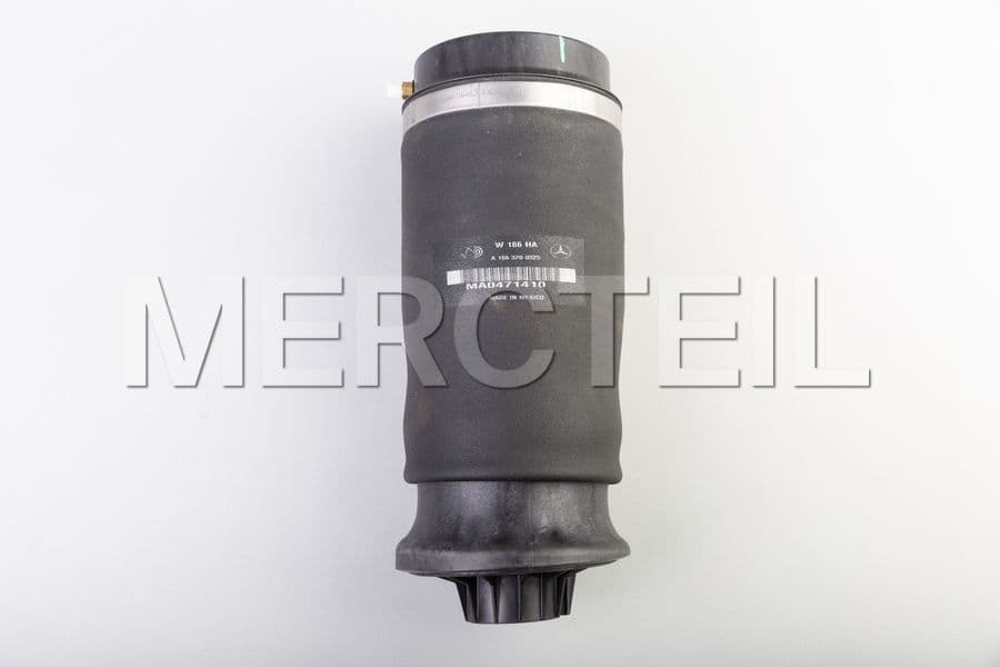 Buy the spare part Mercedes-Benz A1663200325 pneumatic spring