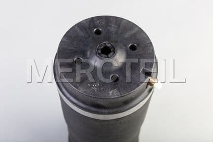 Buy the spare part Mercedes-Benz A1663200325 pneumatic spring