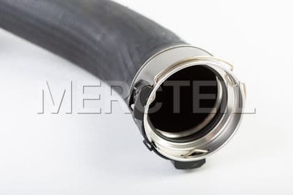 Buy the spare part Mercedes-Benz A1665280100 charge air hose