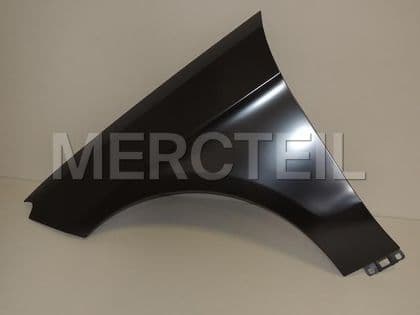 Buy the spare part Mercedes-Benz A1668802500 front fender