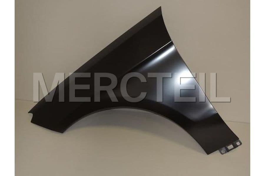 Buy the spare part Mercedes-Benz A1668802500 front fender