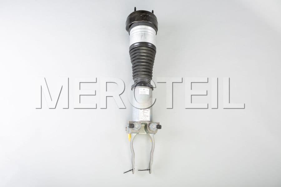 Buy the spare part Mercedes-Benz A1673202904 suspension strut