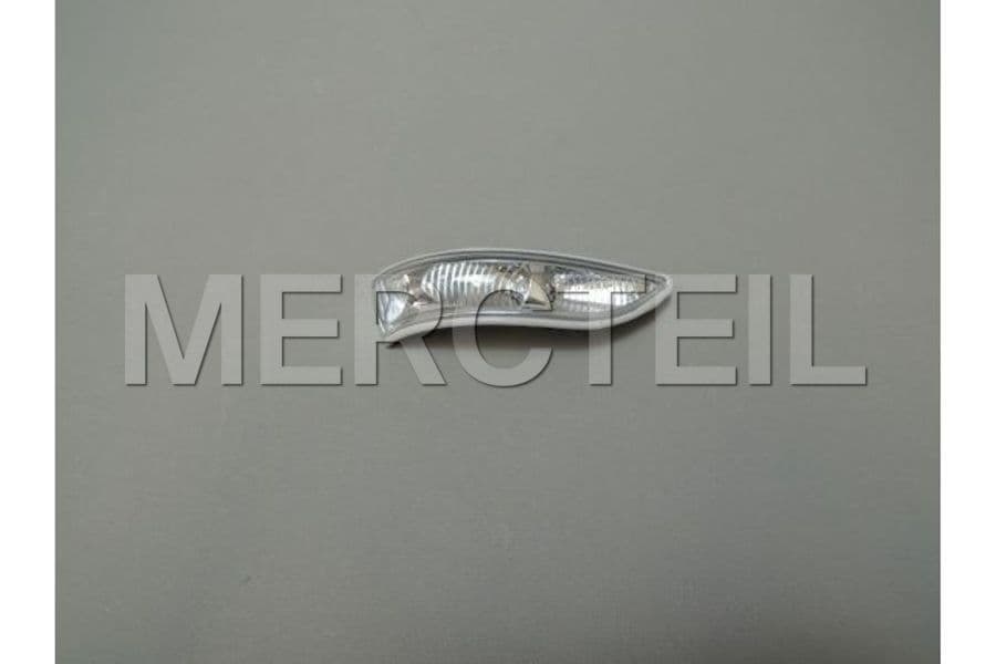 Buy the spare part Mercedes-Benz A1698200621 blinker lamp