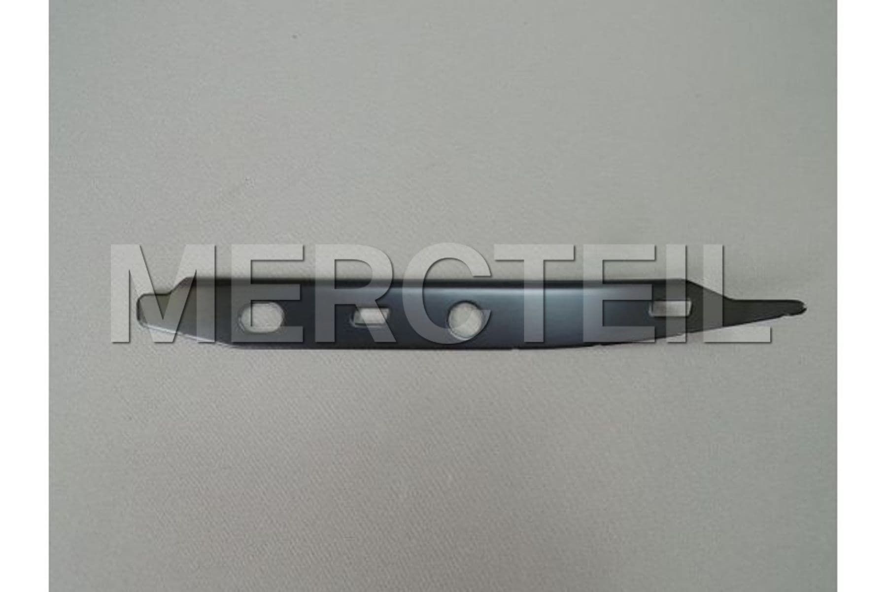 Buy the spare part Mercedes-Benz A1728810206 mounting rail