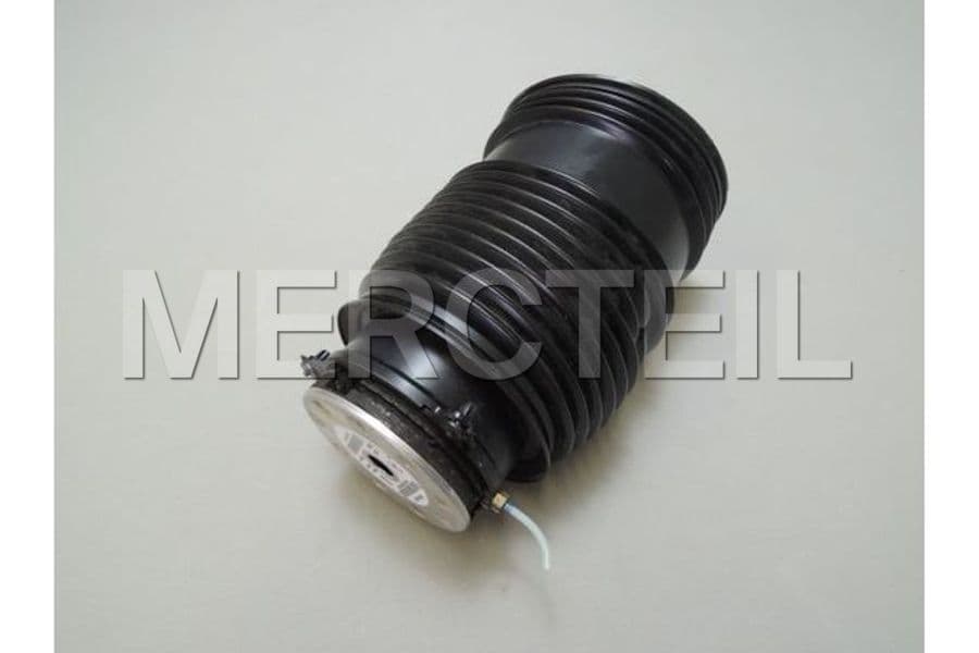 Buy the spare part Mercedes-Benz A2053200125 pneumatic spring