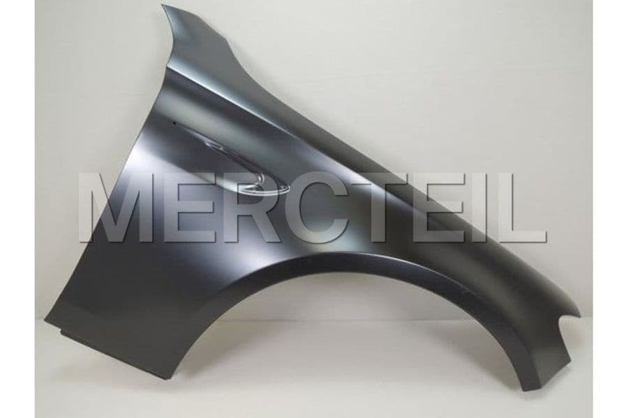 Buy the spare part Mercedes-Benz A2138800801 front fender