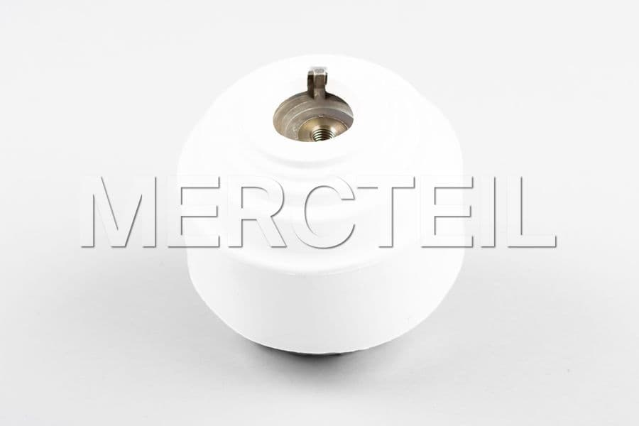 Buy the spare part Mercedes-Benz A2202403317 engine mounting