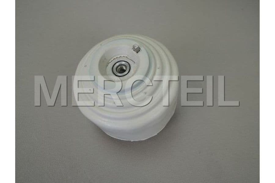Buy the spare part Mercedes-Benz A2212401317 engine mounting
