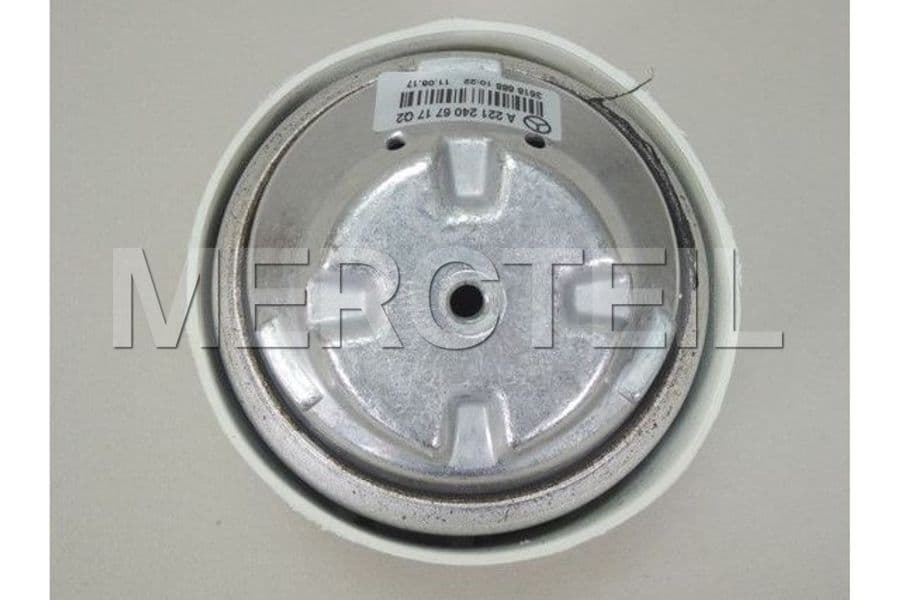 Buy the spare part Mercedes-Benz A2212406717 engine support