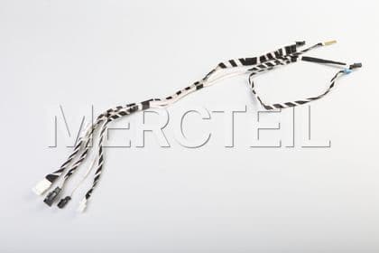 Buy the spare part Mercedes-Benz A2214409105 electrical wiring harness