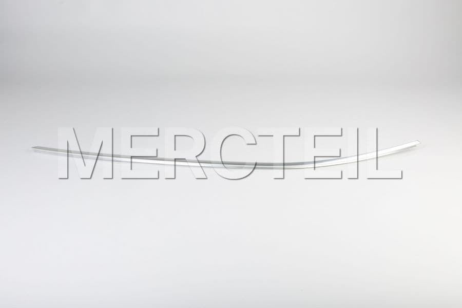Buy the spare part Mercedes-Benz A2216980280 garnish moulding