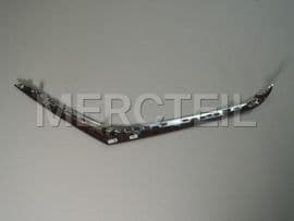 Buy the spare part Mercedes-Benz A2227200322 moulding