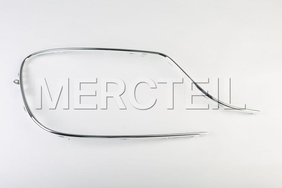 Buy the spare part Mercedes-Benz A2228850501 moulding