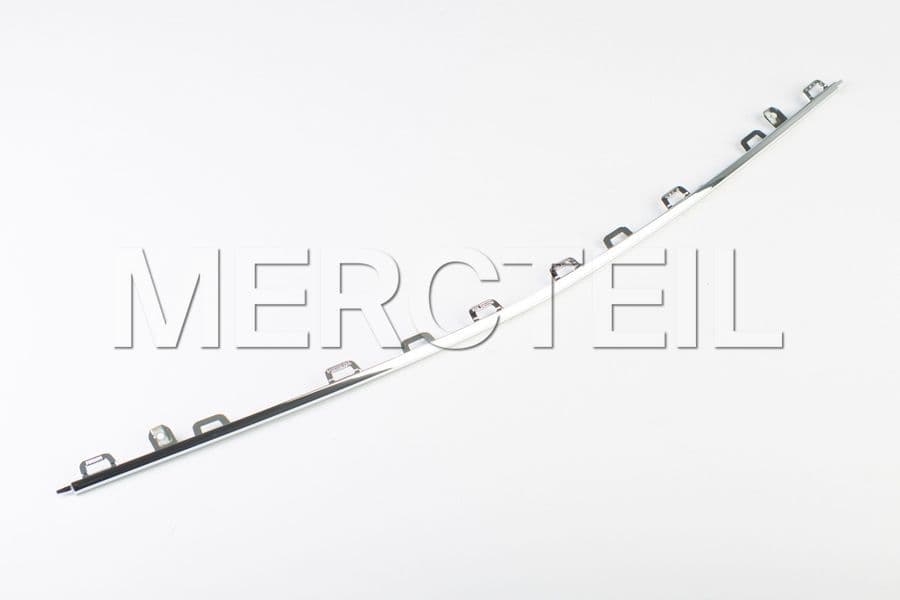 Buy the spare part Mercedes-Benz A2228851001 moulding