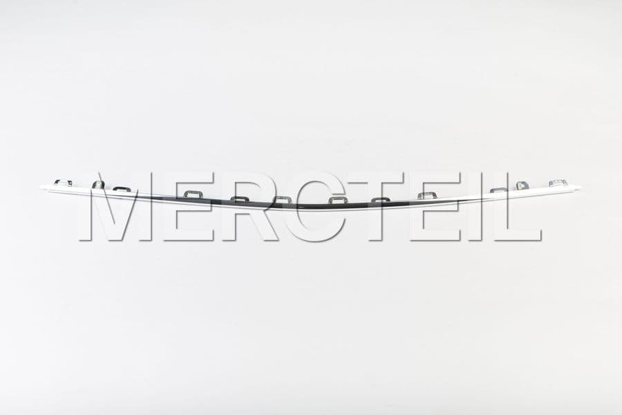 Buy the spare part Mercedes-Benz A2228851001 moulding