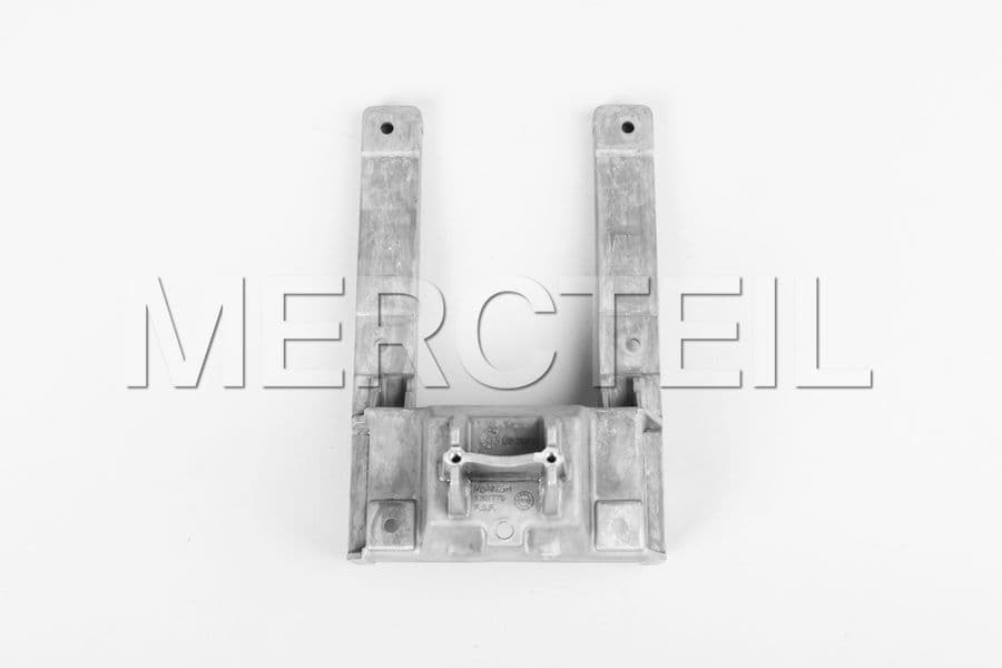 Buy the spare part Mercedes-Benz A2238100100 reinforcement