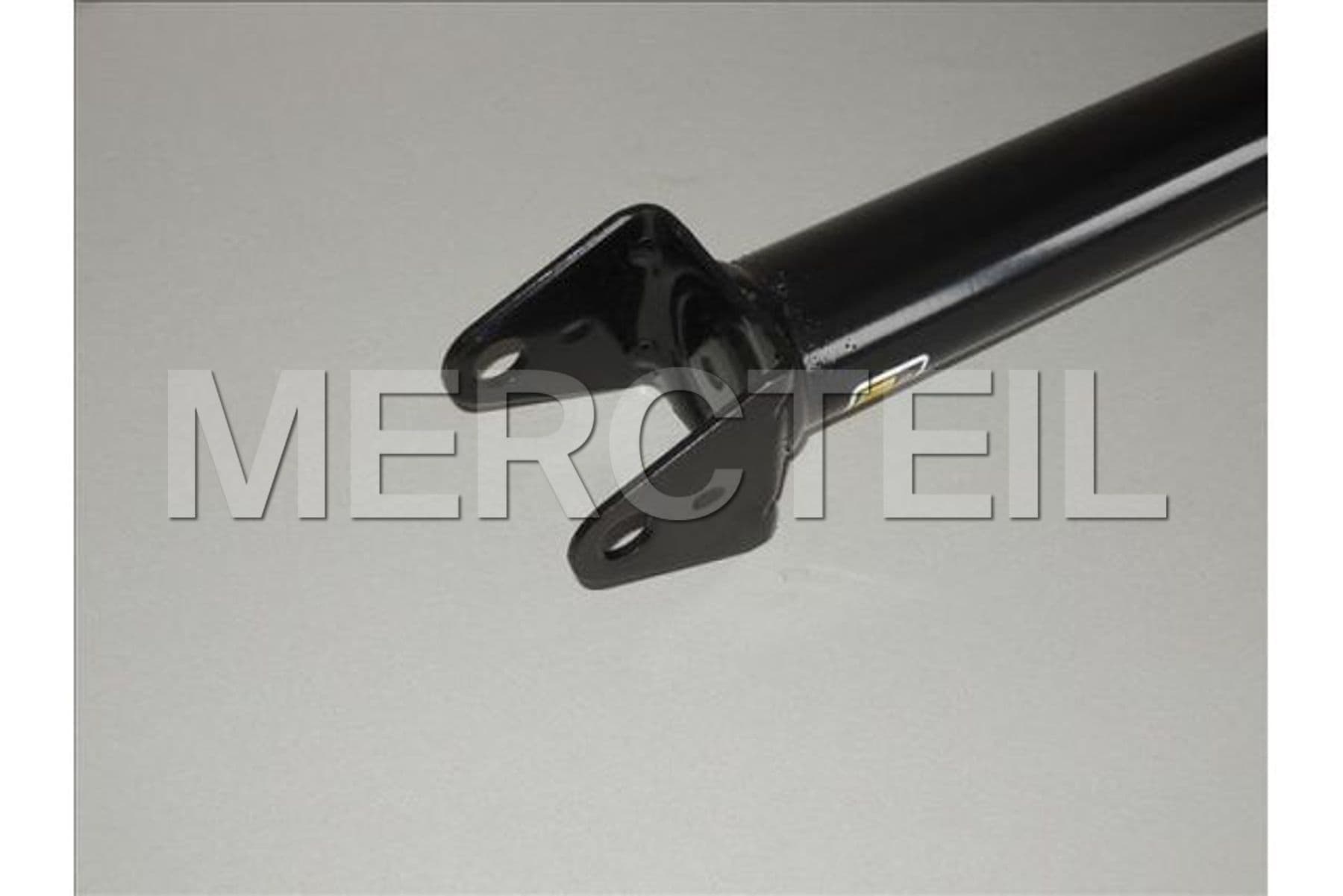Buy the spare part Mercedes-Benz A2513202231 shock absorber